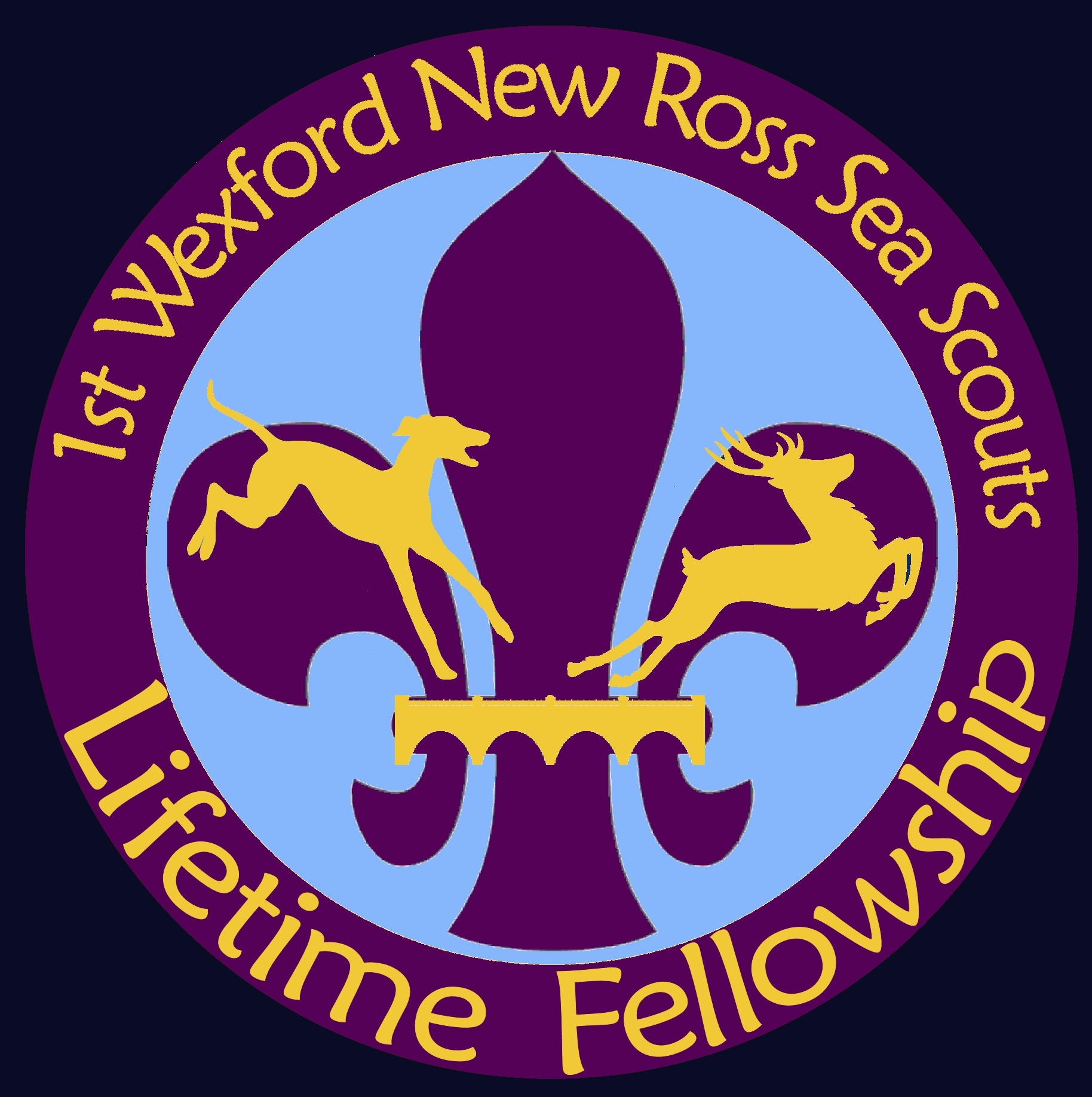 Lifetime Fellowship | 1st Wexford (New Ross) Sea Scouts